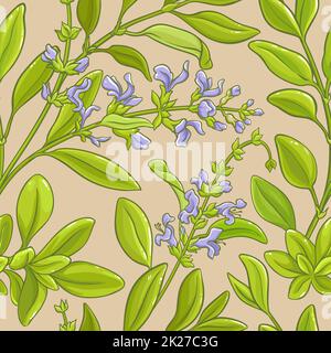 sage branch vector pattern Stock Photo - Alamy
