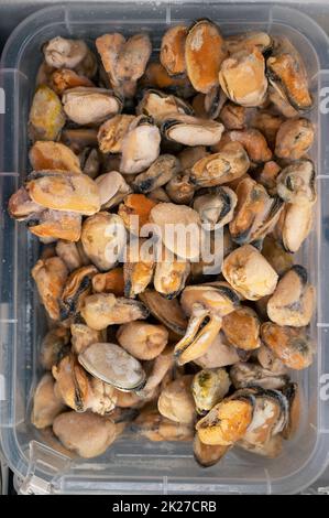 Frozen mussels in fridge at the fish market. Healthy eating and fish ...
