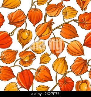 phisalis branch vector pattern Stock Photo - Alamy