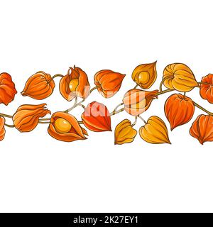 phisalis branch vector pattern Stock Photo - Alamy