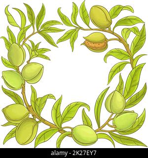 almond vector frame Stock Photo - Alamy