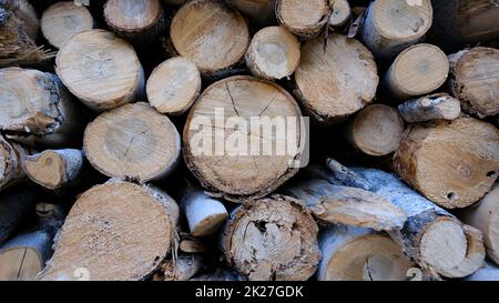 Stacked woods in the woodshed Stock Photo - Alamy