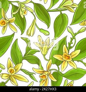 vanilla vector pattern Stock Photo - Alamy