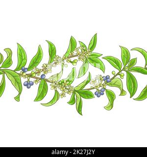 osmanthus vector pattern Stock Photo - Alamy