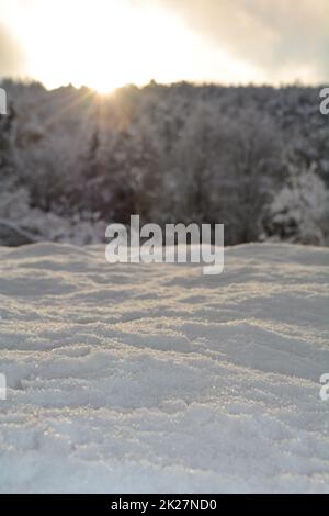 Deep snow with sunrise behind the blurred trees Stock Photo - Alamy