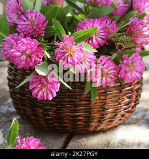 Herbs in a wicker basket, still life in a rustic style on a vintage ...