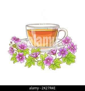 malva tea illustration Stock Photo - Alamy
