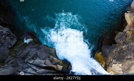 top view, river flows, aerial photography Stock Photo - Alamy