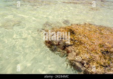 A white sand bottom in Salento beautiful sandy beach, Italy Stock Photo ...