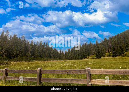 Typical alpine pastures Stock Photo - Alamy