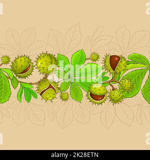 chestnut plant vector pattern on color background Stock Photo - Alamy