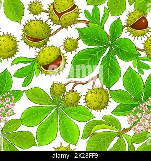chestnut plant vector pattern on color background Stock Photo - Alamy