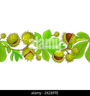 chestnut plant vector pattern on color background Stock Photo - Alamy