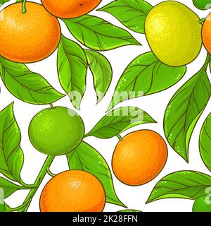 mandarin plant vector pattern on color background Stock Photo - Alamy