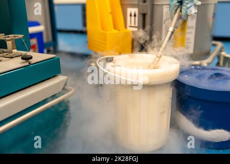 Laboratory experiment with liquid nitrogen in laboratory mortar with ...