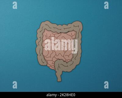 Intestinal tract as paper illustration on blue background, health care ...