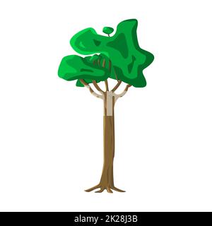 Realistic green old tall tree isolated on white background - Vector ...