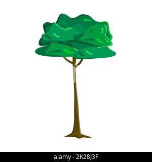 Realistic green old tall tree isolated on white background - Vector ...