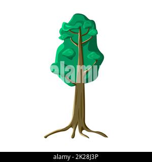 Realistic green old tall tree isolated on white background - Vector ...