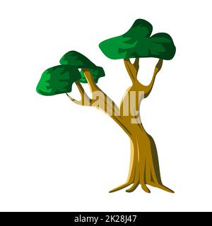 Realistic green sprawling tree isolated on white background - Vector ...
