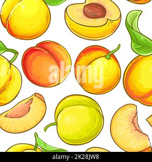 peach fruits vector pattern on white background Stock Photo - Alamy