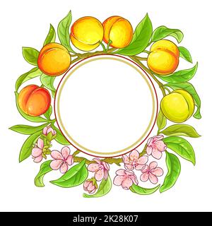 peach branches vector frame on color background Stock Photo - Alamy