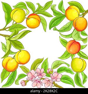peach branches vector frame on color background Stock Photo - Alamy