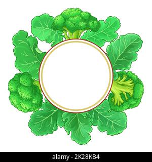 broccoli plant vector frame on white background Stock Photo - Alamy