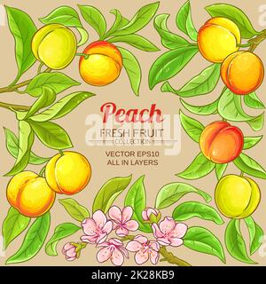 peach branches vector frame on color background Stock Photo - Alamy