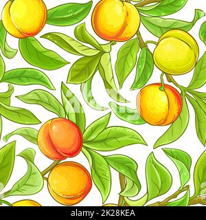 peach branches vector pattern on color background Stock Photo - Alamy