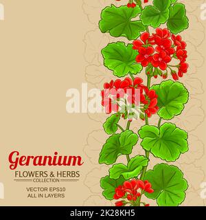 geranium plant vector pattern on white background Stock Photo - Alamy