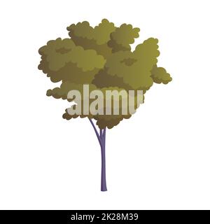 Realistic green leafy bush isolated on white background - Vector Stock ...