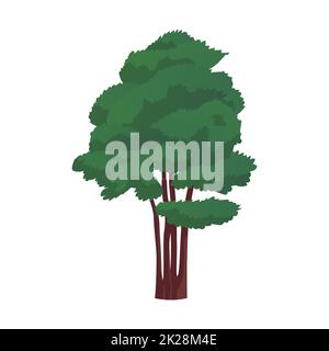 Realistic green leafy bush isolated on white background - Vector Stock ...