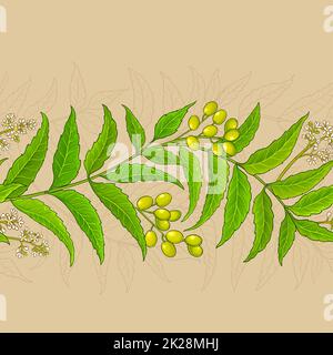 neem branches vector pattern on white background Stock Photo - Alamy