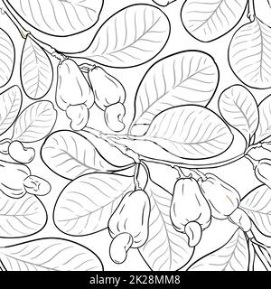 cashew branches vector pattern on white background Stock Photo - Alamy