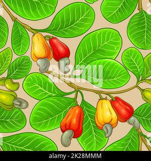 cashew branches vector pattern on white background Stock Photo - Alamy