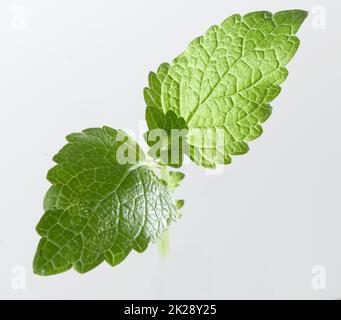 Fruits and vegetables well planted Stock Photo - Alamy