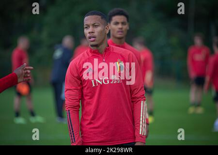 the Royal Belgian Football Association (RBFA) and Tomorrowland present ...