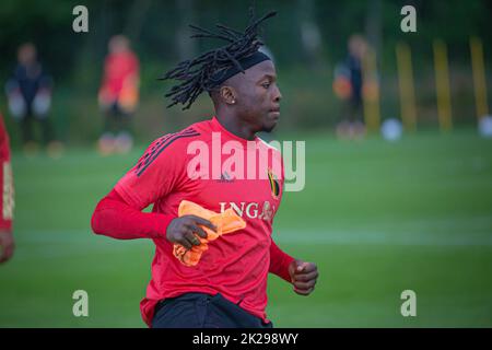 the Royal Belgian Football Association (RBFA) and Tomorrowland present ...