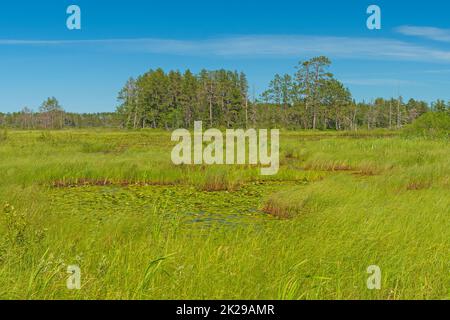 Pothole Ponds in a North Woods Forest in the Seney National Wildlife ...