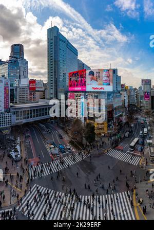 Panorama of busy Shibuya Crossing, Shibuya, Tokyo, Japan Stock Photo ...