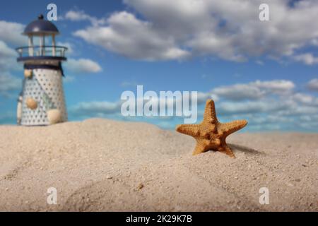 Lighthouse With Seashell on Beach, Close up on Shell Stock Photo - Alamy