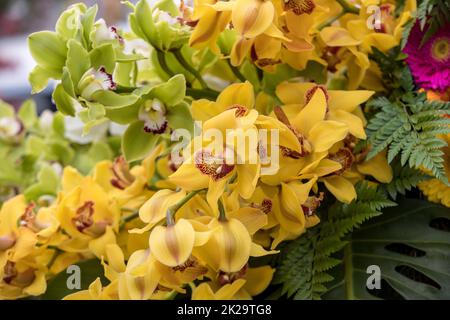Beauty floristic decoration with colorful tropical flowers Stock Photo ...