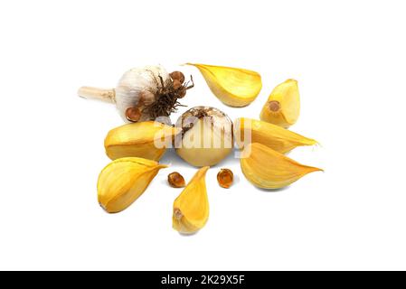 Elephant garlic garlic bulb, corms and cloves Stock Photo - Alamy