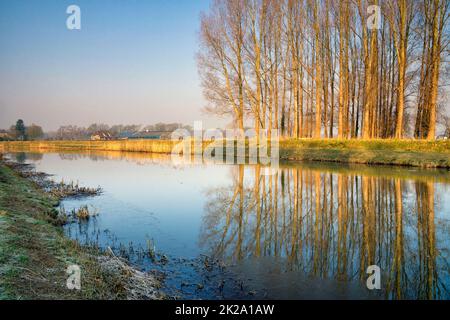 Row of trees along the river Berkel Stock Photo - Alamy