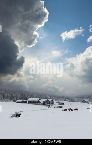 Jizerka settlemen, parts village Korenov, Liberec region, Northern ...