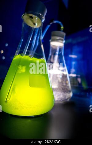 Scientific laboratory glass conical Erlenmeyer flask filled with ...