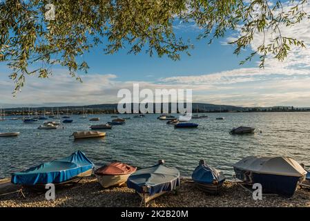 Boats on Lake Constance, Allensbach, Baden-Wuerttemberg, Germany Stock ...