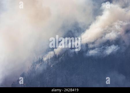 BC Forest Fire and Smoke over the mountain near Hope Stock Photo - Alamy