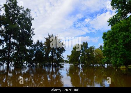 The Hawkesbury River overflows its banks at Windsor in Sydney's west ...